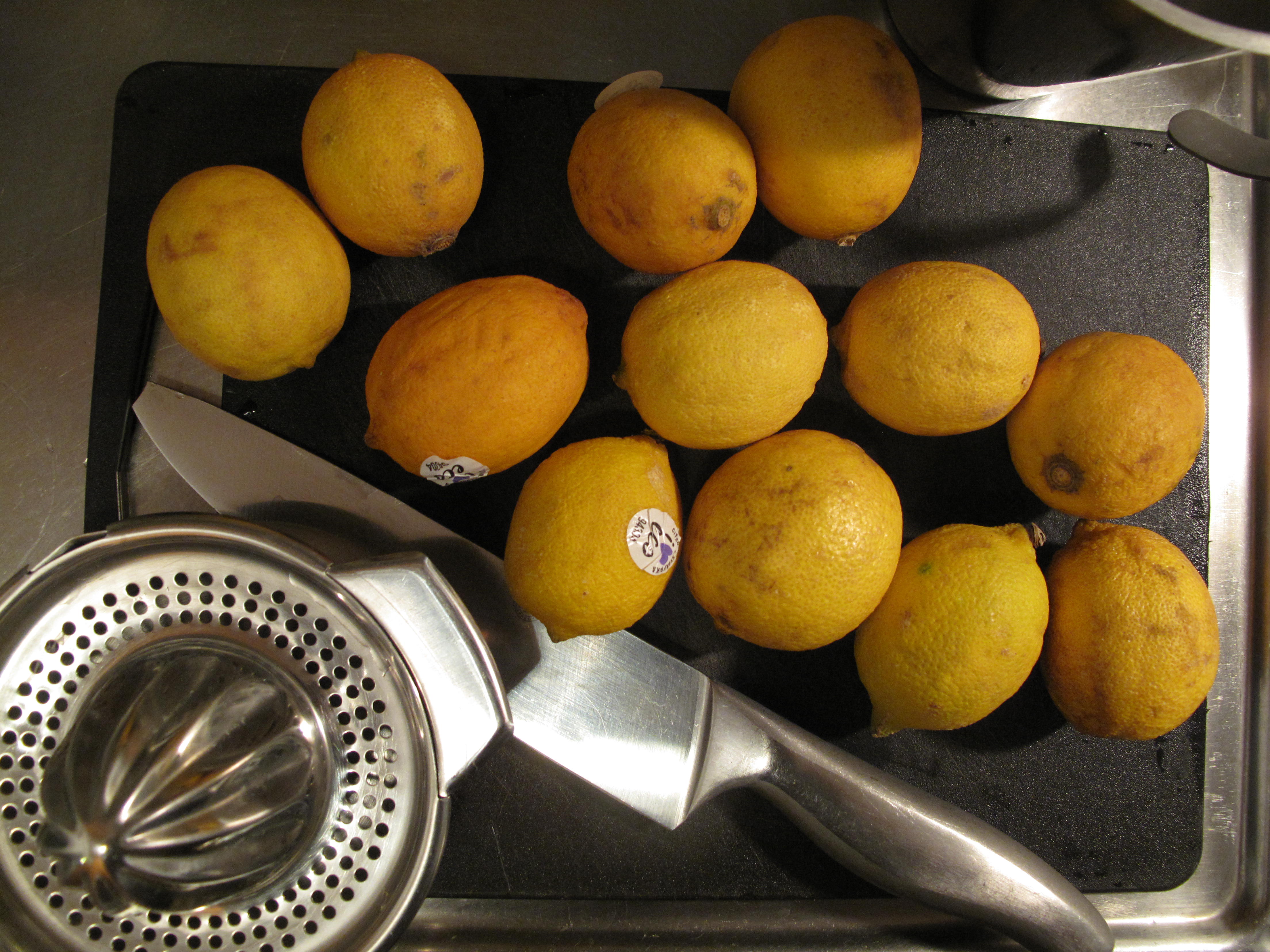 Tips: Fryst citronsaft | Dumpstringslyx
