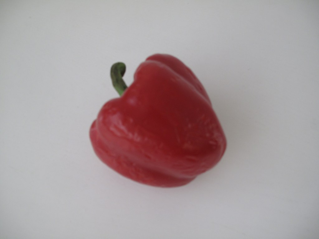 En perfekt paprika | Dumpstringslyx