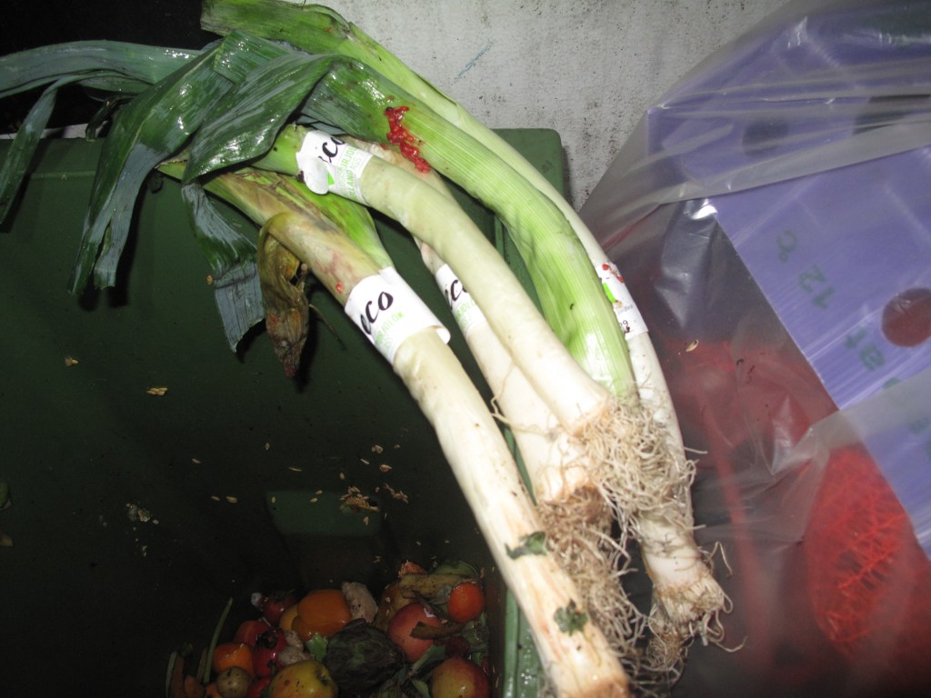 Upprepade mönster | Dumpstringslyx