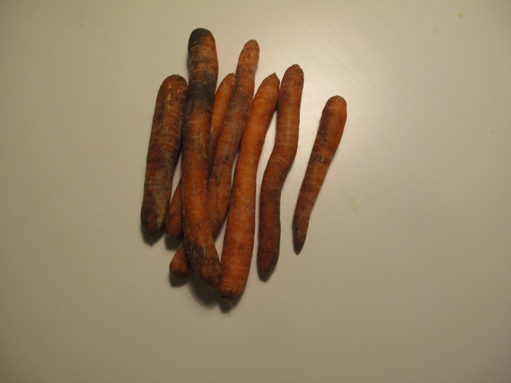 Supermorötter | Dumpstringslyx