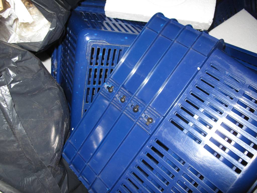 Tips sökes | Dumpstringslyx