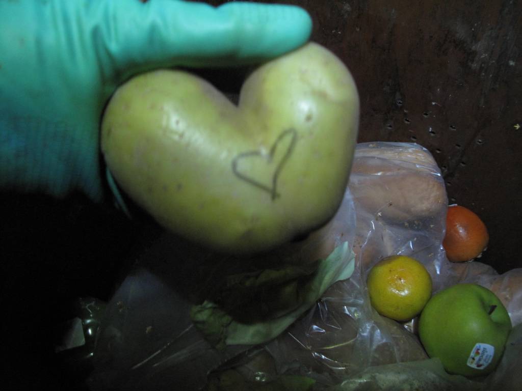 Kärlekspotatis | Dumpstringslyx